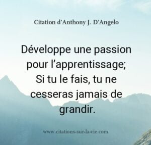 Citation apprentissage :: 15 citations inspirantes